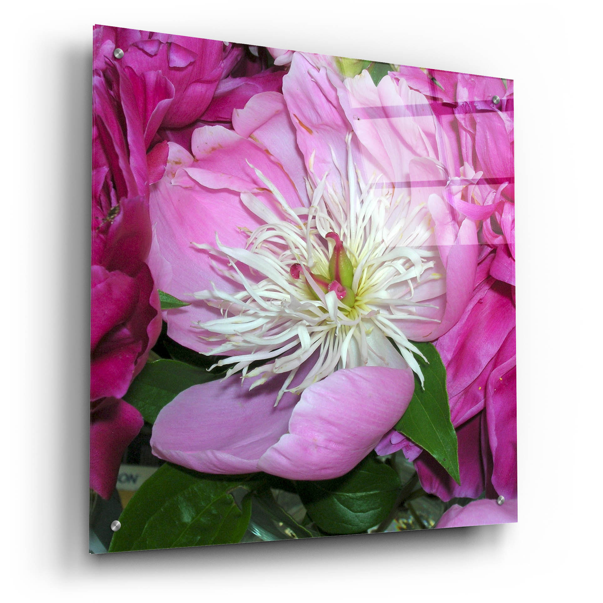 Lark Manor™ 'Junes Treasure 2' by Alicia Ludwig Acrylic Glass Wall Art ...