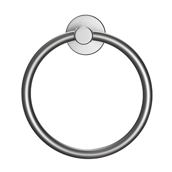 Evoio Towel Ring | Wayfair