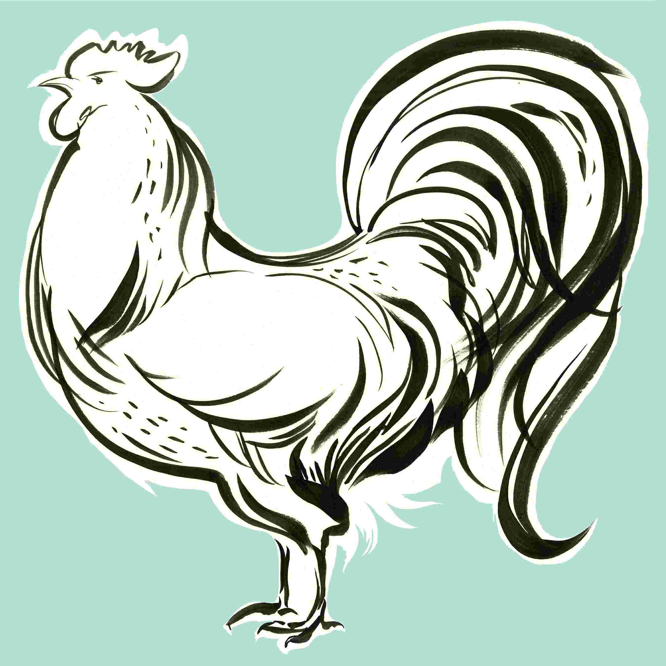 August Grove® Galliformes II by Laura Marr - Wrapped Canvas Print | Wayfair