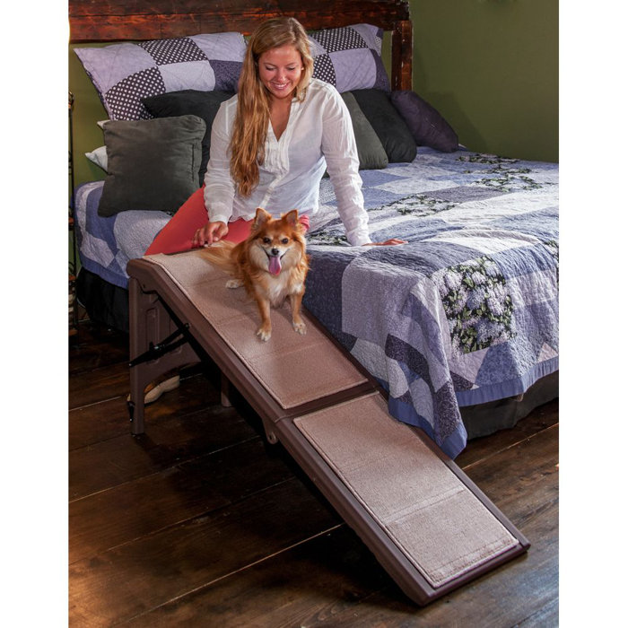 Pet Gear Free Standing 56" Pet Ramp & Reviews | Wayfair