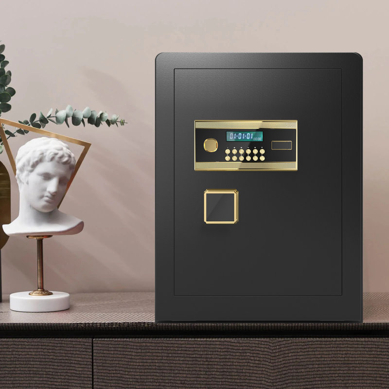 Pynsseu Security Safe Lock & Reviews | Wayfair