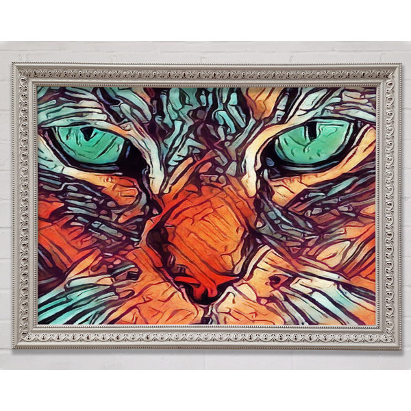 Bright Star Cat Eyes Close In View - Single Picture Frame Art Prints ...