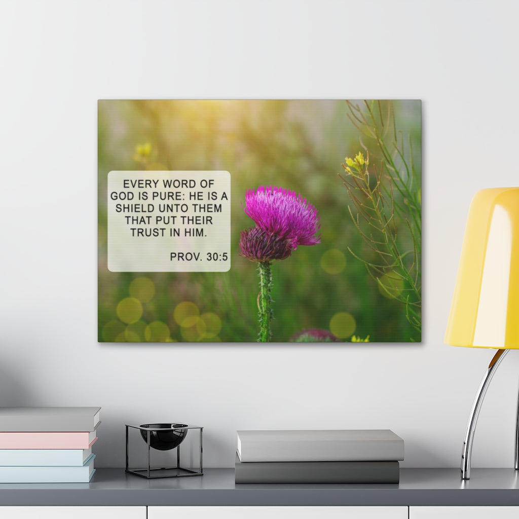 Trinx Proverbs 30:5 God Is Pure Bible Verse Canvas Christian Wall Art ...