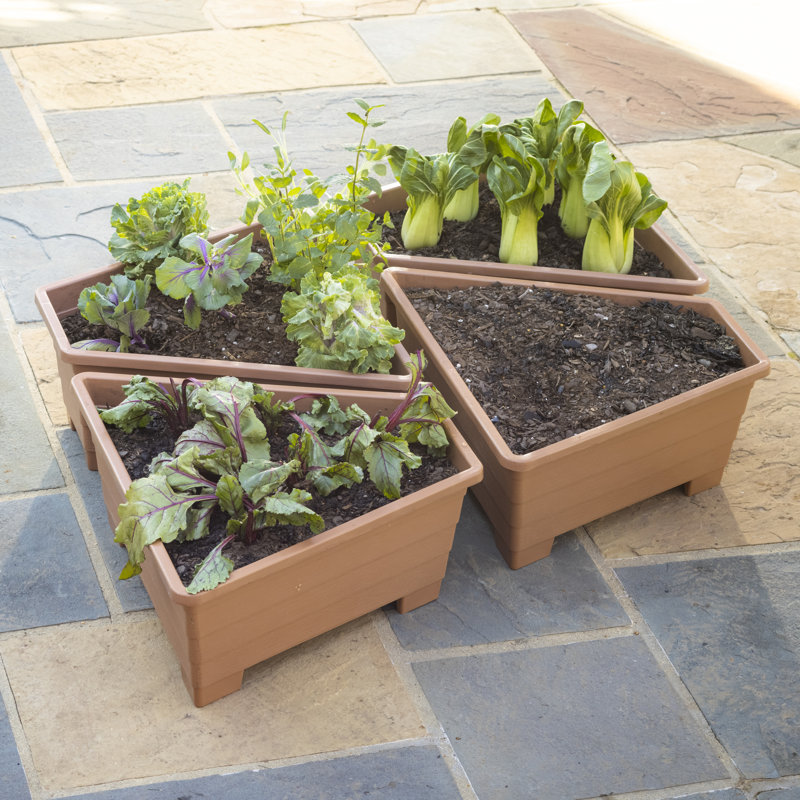 Arlmont & Co. 4-Piece Plastic Nursery Pot Set | Wayfair