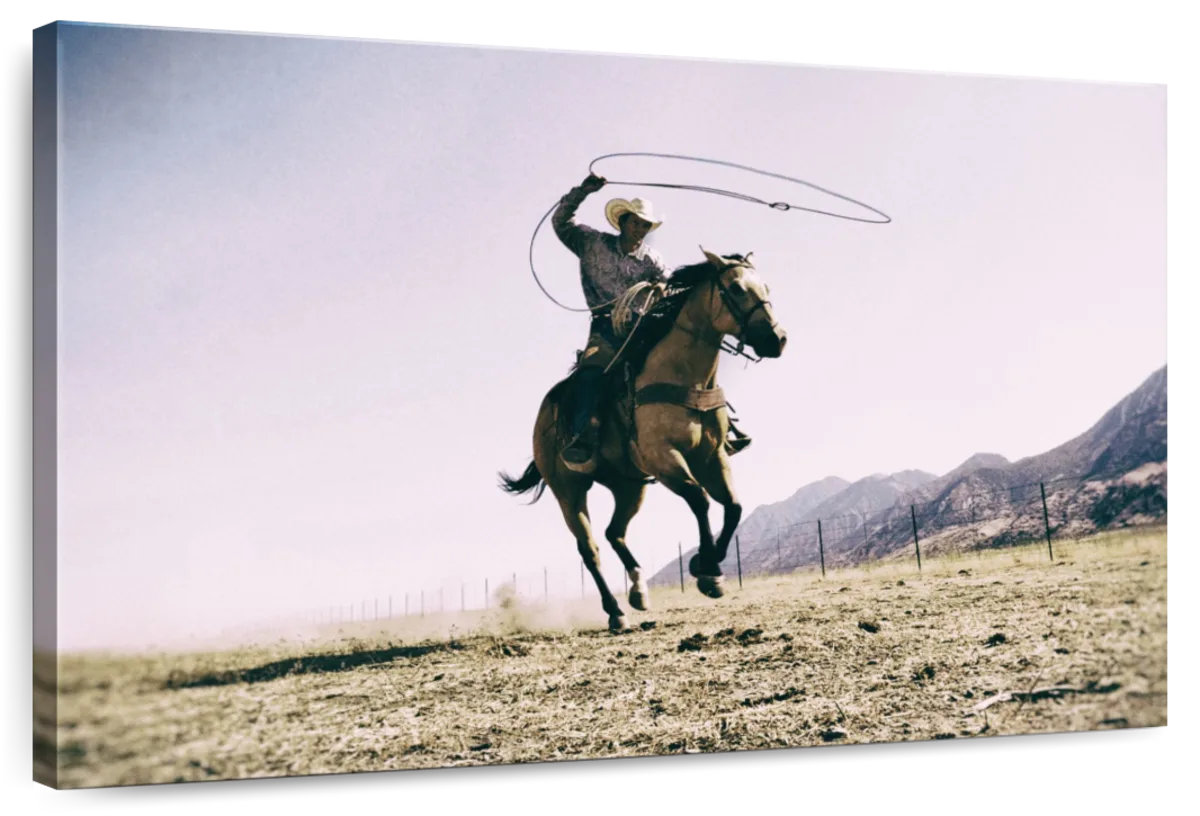 Union Rustic Lelar Cowboy And His Lasso - Wayfair Canada