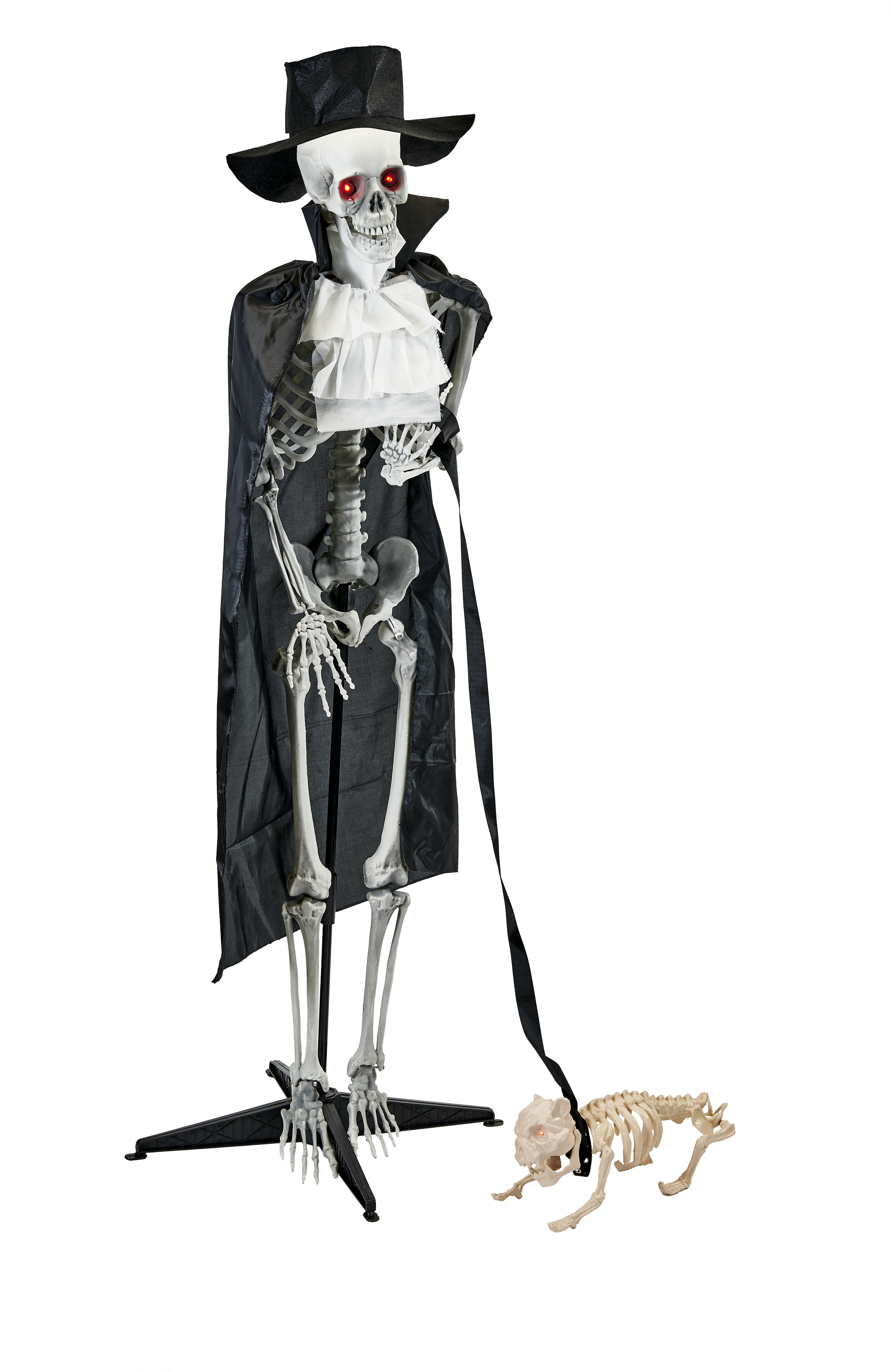 The Holiday Aisle® Lifesize Halloween Dressed Standing Skeleton Walking ...