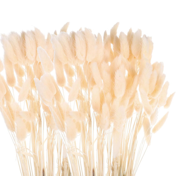 Primrue 200Pcs Dried Bunny Tails Flowers Blue Rabbit Tail Grass Lagurus ...