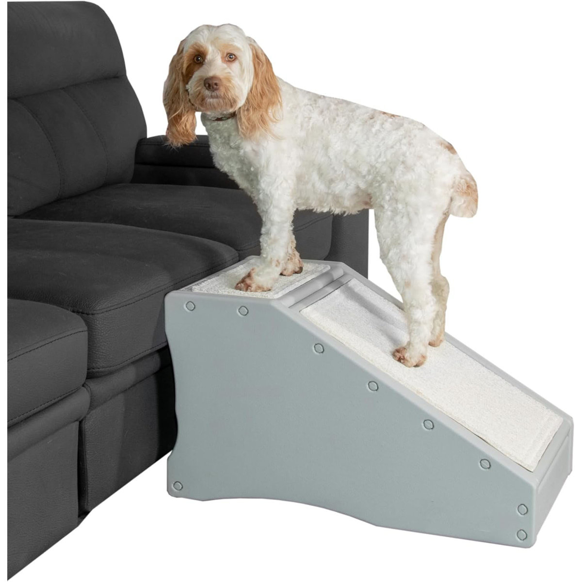 Pet Gear Stramp Stair and Ramp Combination for Dogs/Cats & Reviews ...