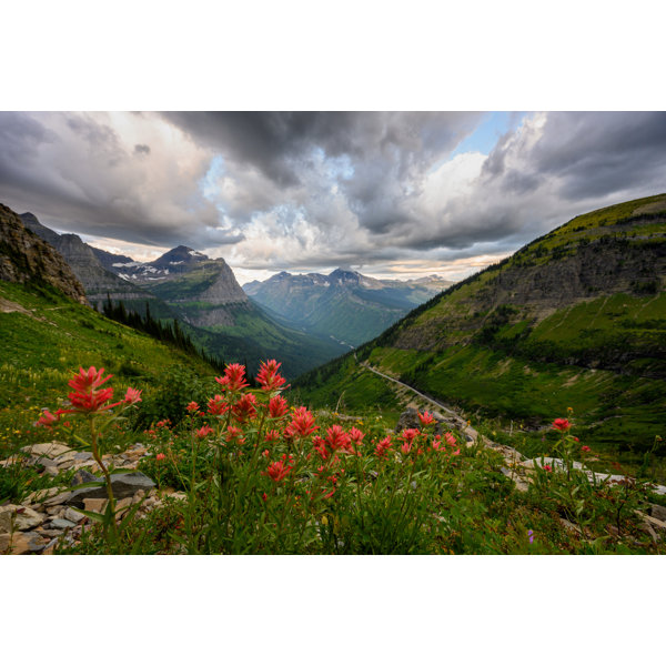Alpen Home Heatherly Glacier National Park by Kellyvandellen - Wrapped ...