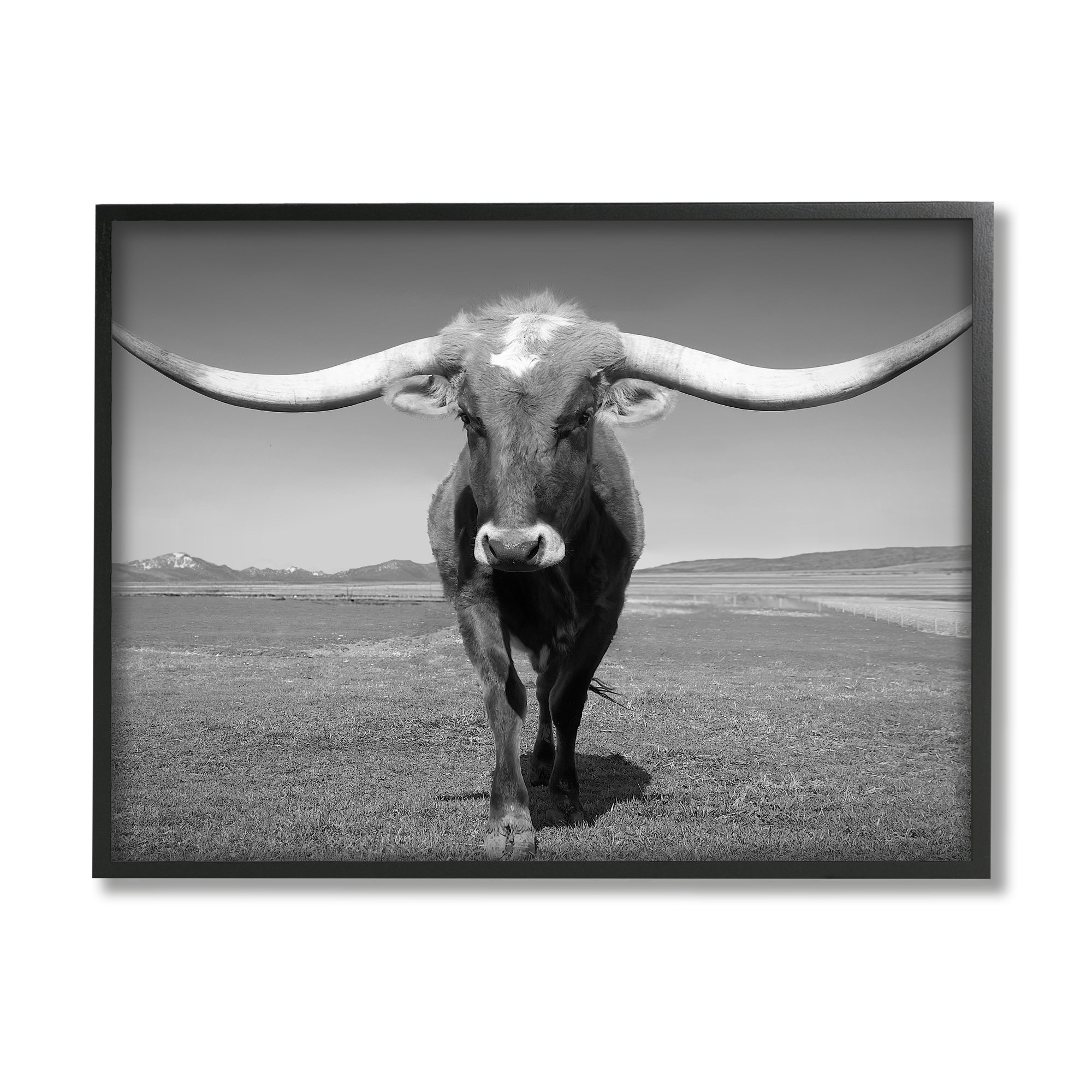 Stupell Industries Longhorn In Countryside by Steve Toole | Wayfair