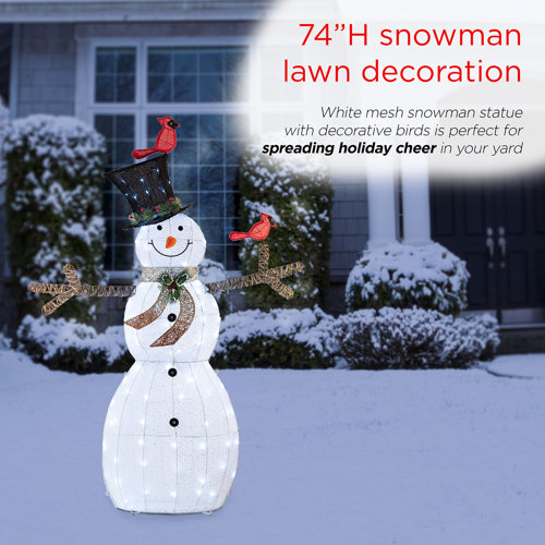 The Holiday Aisle® Snowman Lighted Display & Reviews | Wayfair