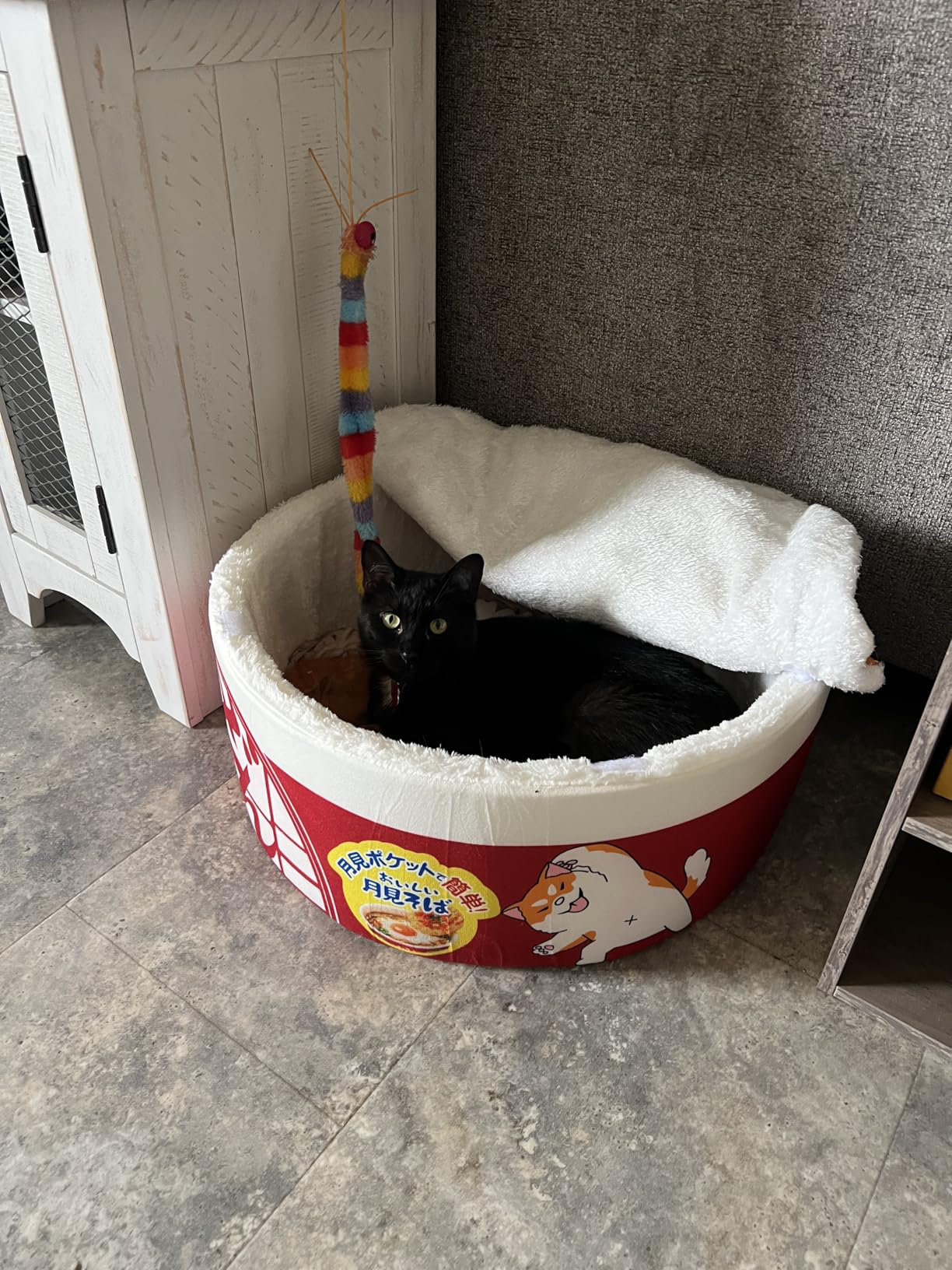 Tucker Murphy Pet™ Ramen Noodle Pet Bed,Keep Warm and Soft Creative Pet ...