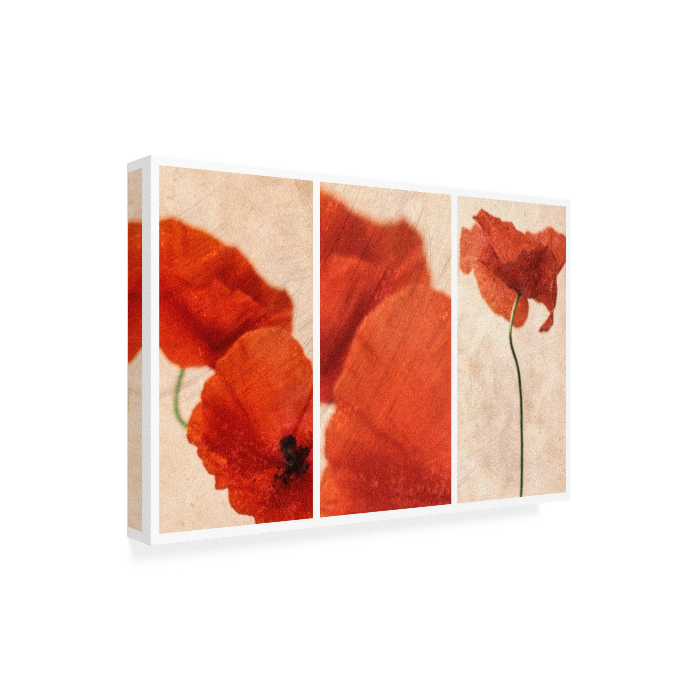 Winston Porter Kizzee Three Red | Wayfair