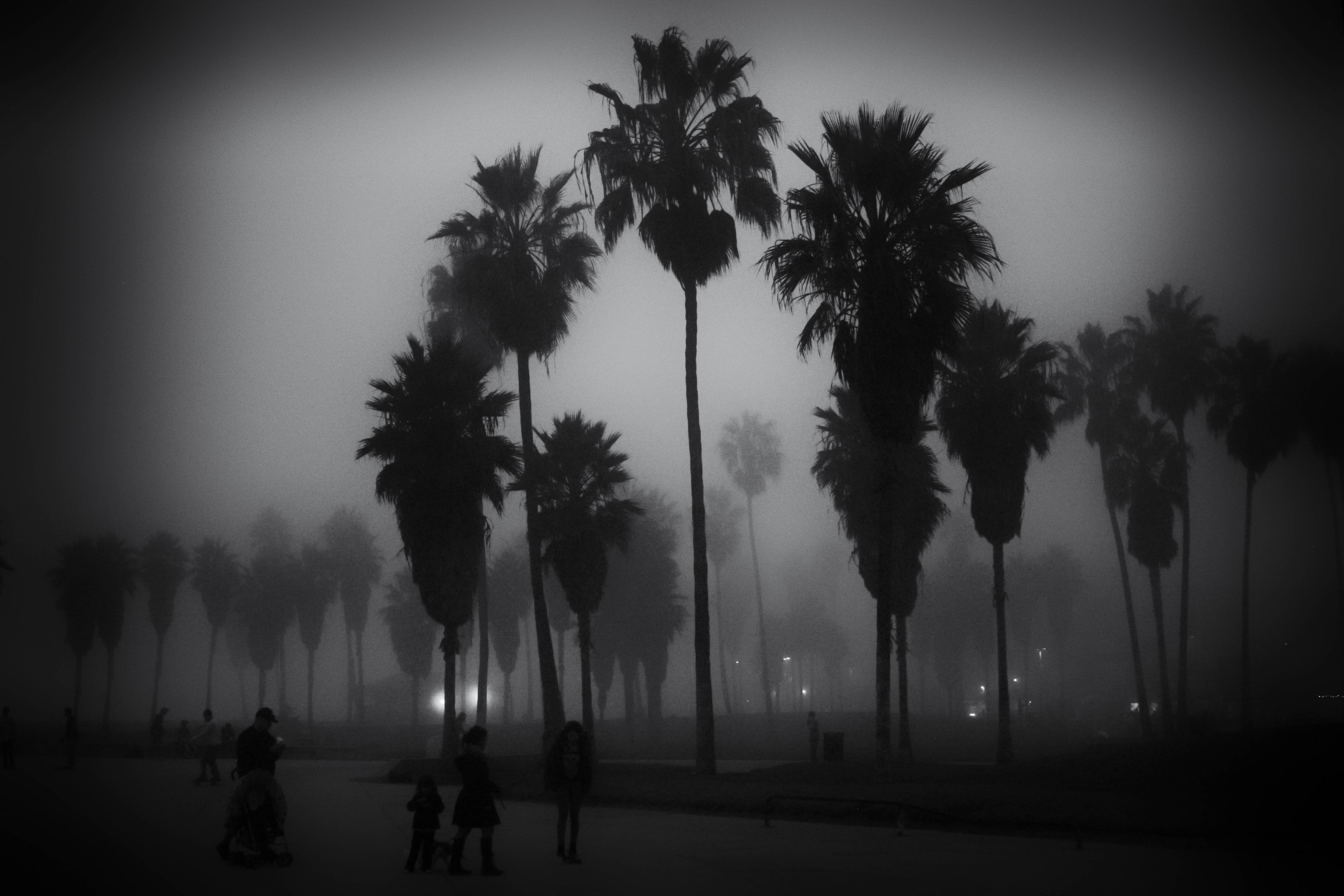 Bay Isle Home™ Foggy Day On Venice Beach by Laddio1234 - Print ...