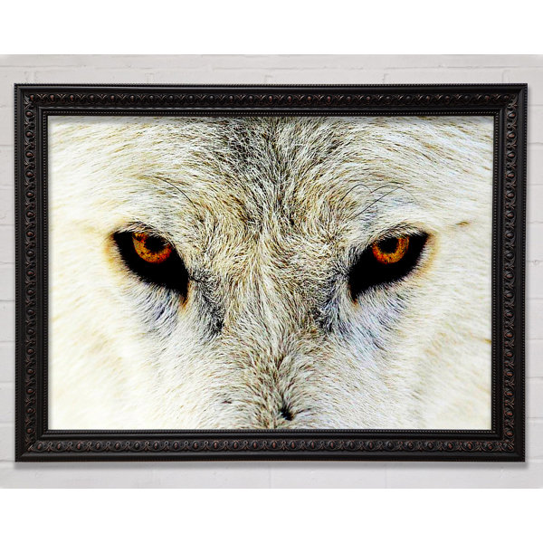 Bright Star Arctic Wolf Eyes - Single Picture Frame Print | Wayfair.co.uk
