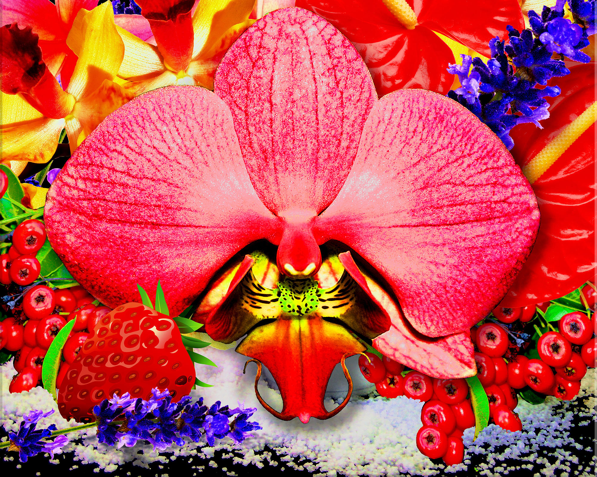 RFA Decor Carmen 1 by Larry Laslo - Picture Frame Painting on Canvas ...