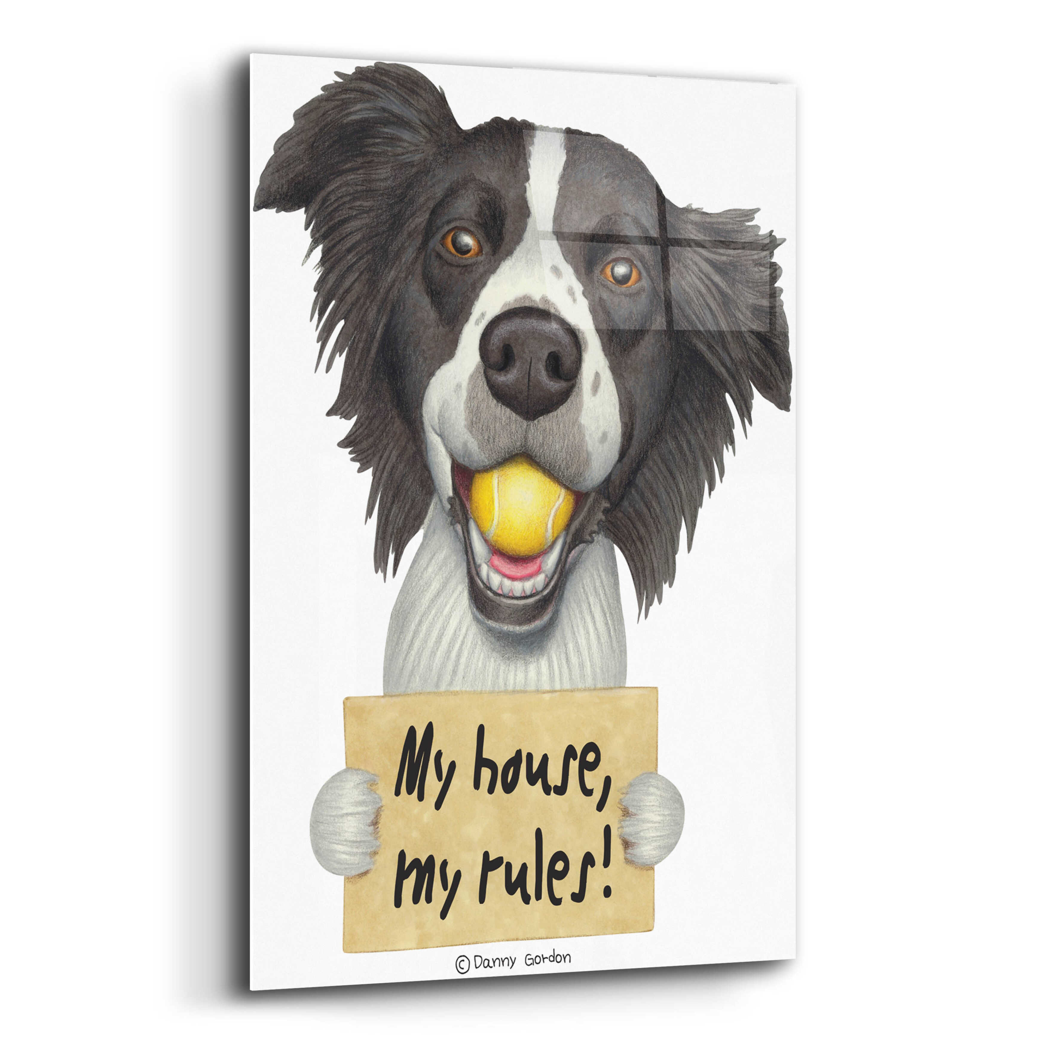 Trinx 'Border Collie Ball In Mouth' By Danny Gordon Art, Acrylic Glass ...