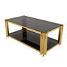 Mercer41 Modern Black Mirror Coffee Table with Gold Metal Frame ...