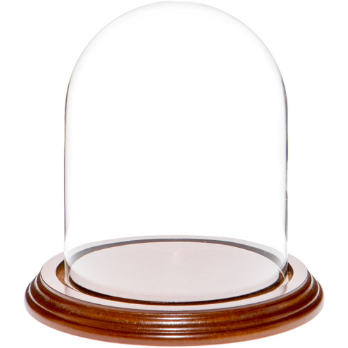 Cloche | Wayfair
