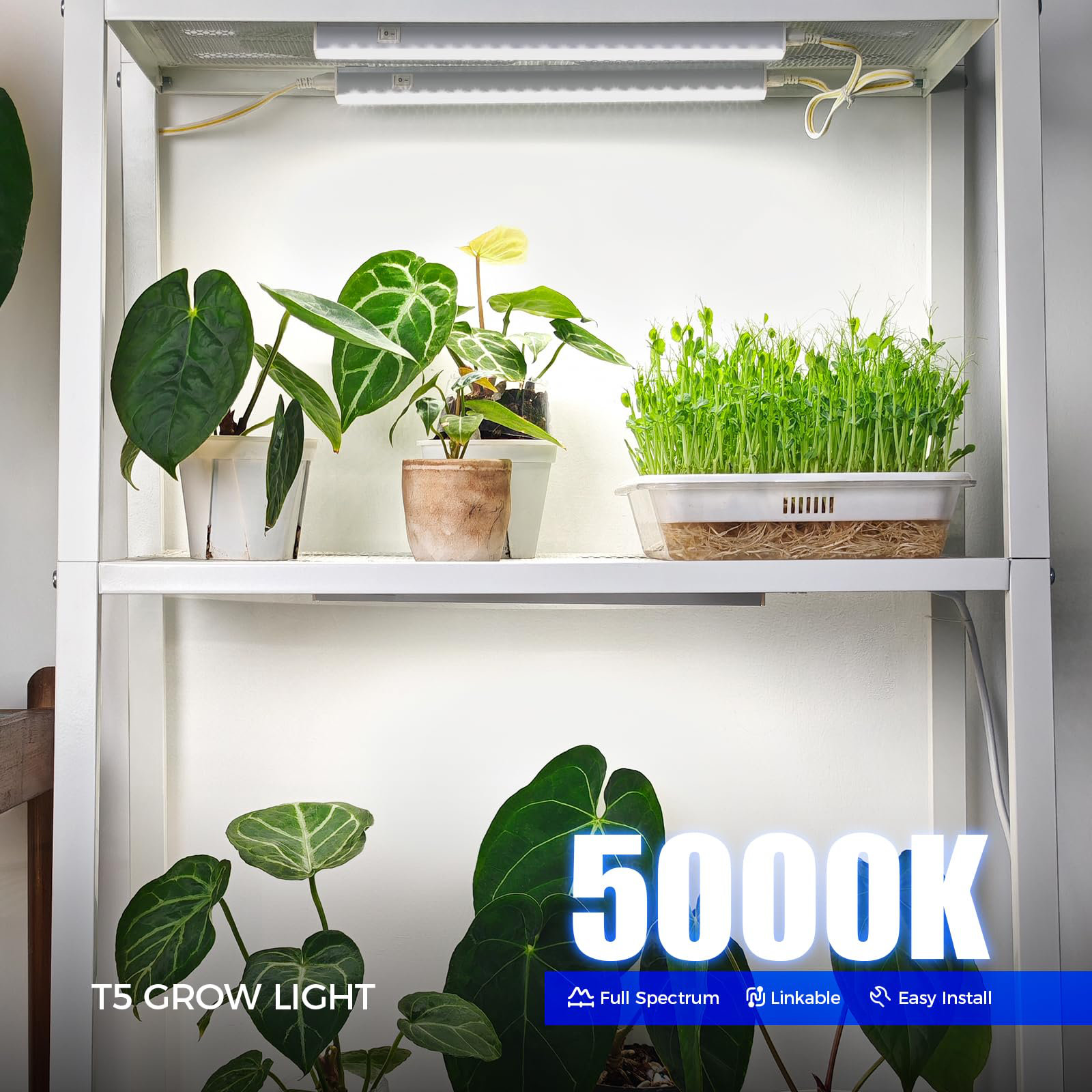 BEACHWATER POOL & SPA, LLC Grow Lights For Indoor Plants, 5000K White ...
