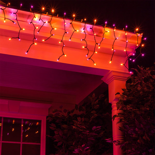 The Holiday Aisle® Halloween Icicle Lights & Reviews | Wayfair