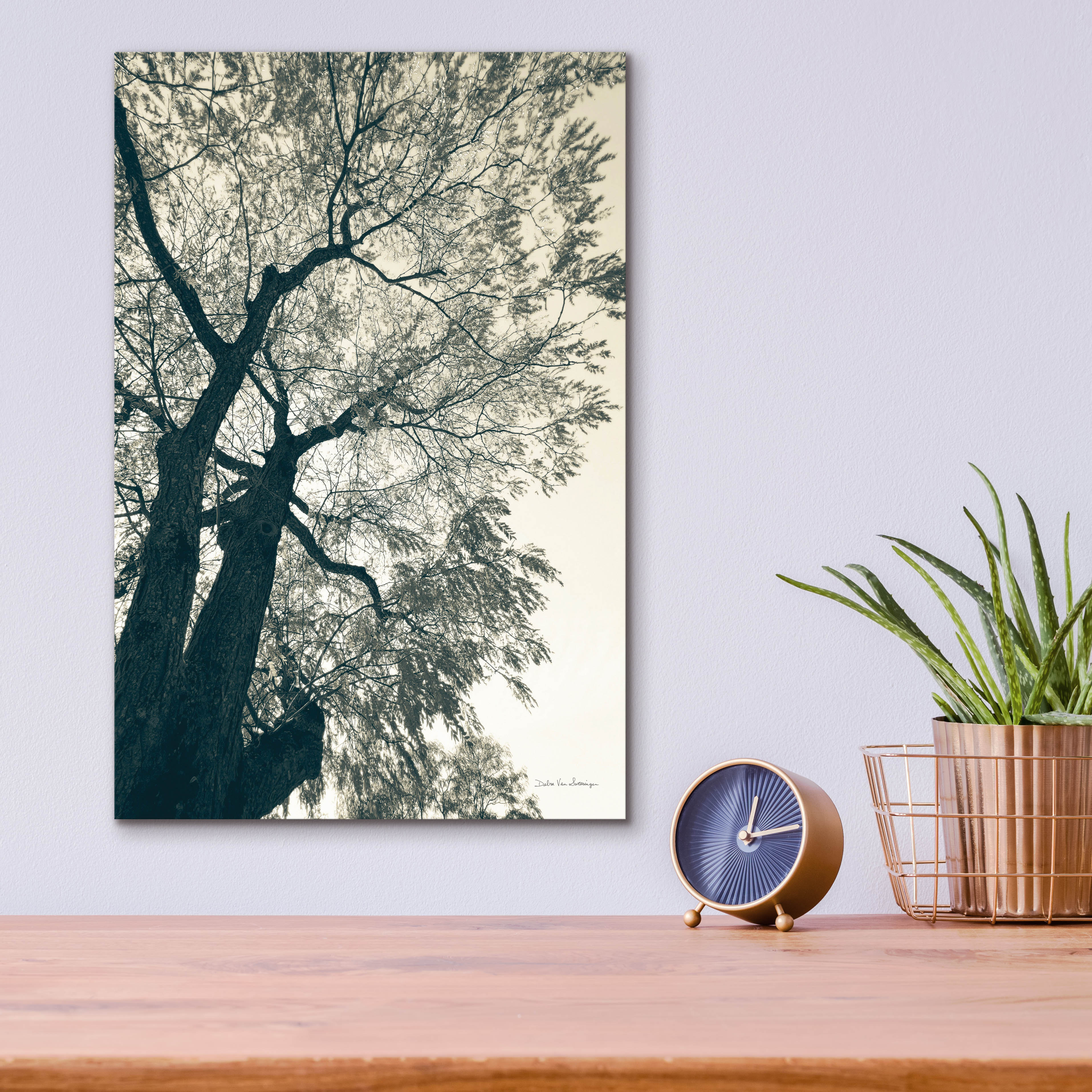 Charlton Home® 'Branching Out 1' by Debra Van Swearingen Acrylic Glass ...