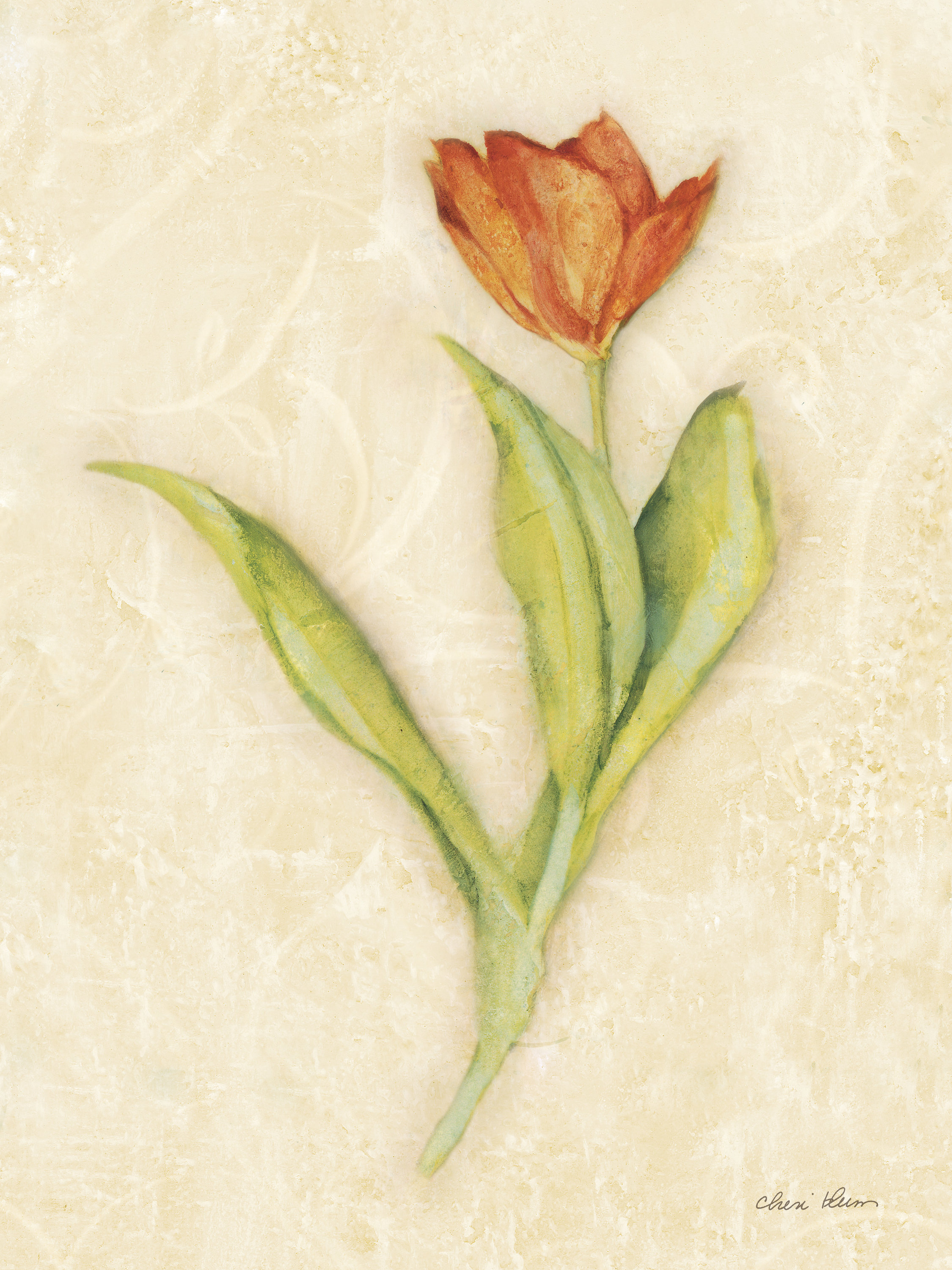 Winston Porter Red Tulip Stem On Canvas by Cheri Blum Print | Wayfair