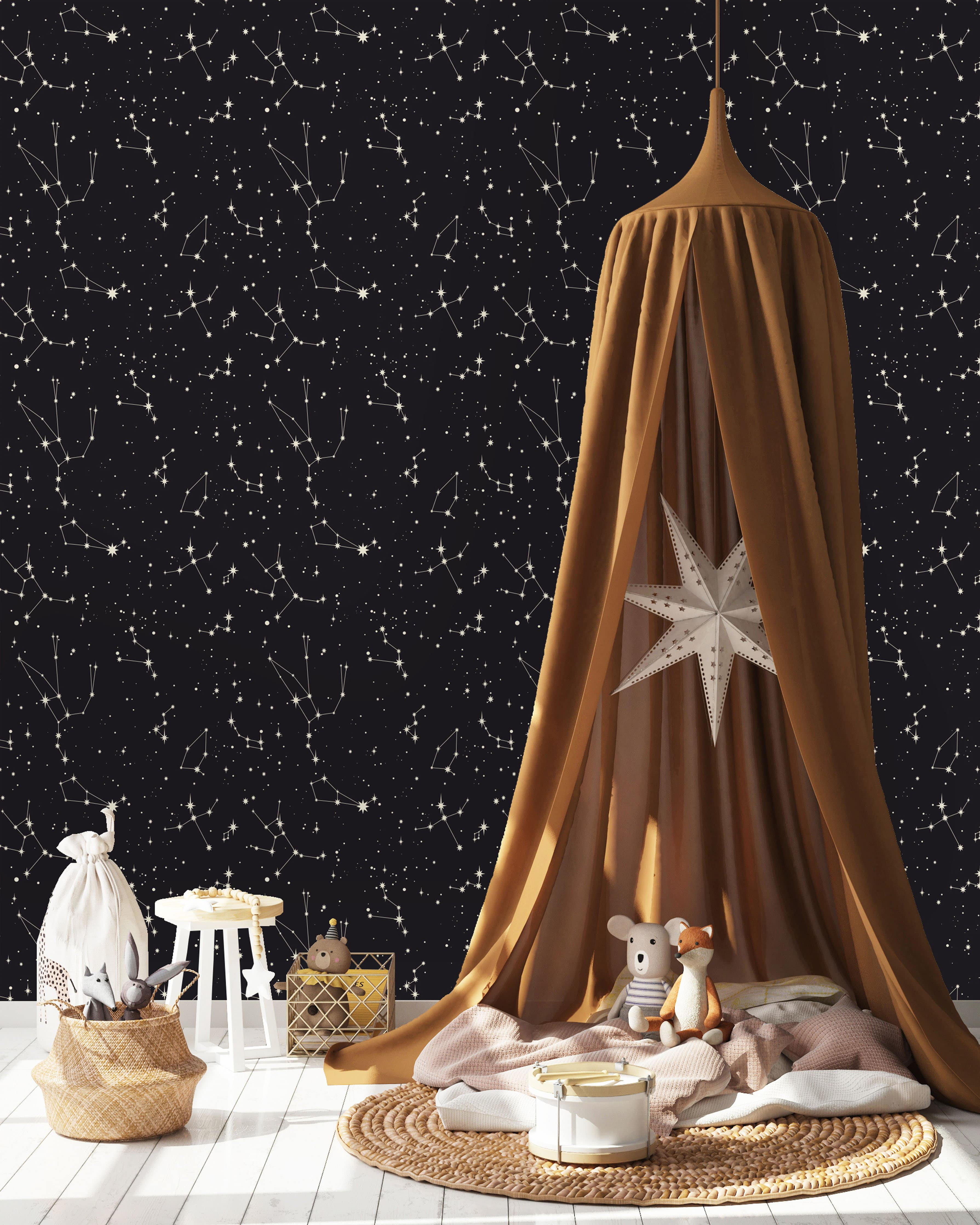 Isabelle & Max™ Fritsche Star Constellation Peel and Stick Wallpaper ...