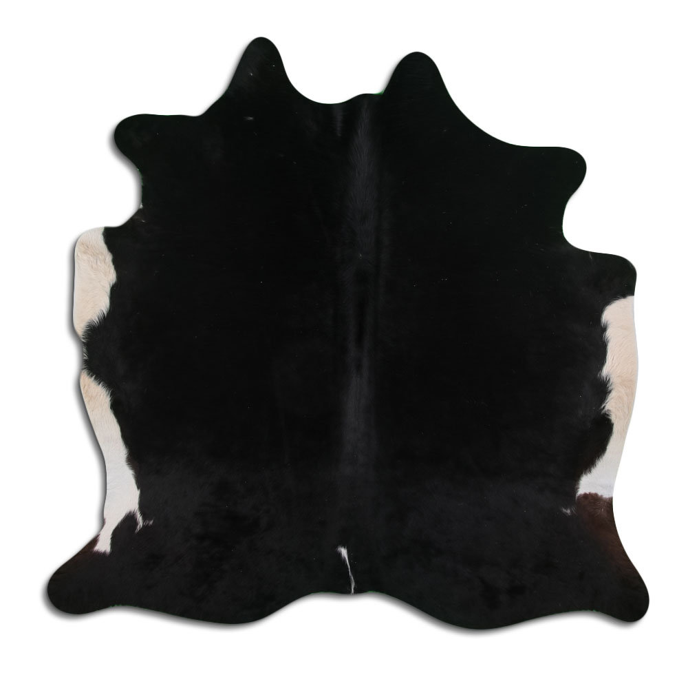 Foundry Select Ipt NATURAL HAIR ON Cowhide Rug BLACK - Wayfair Canada