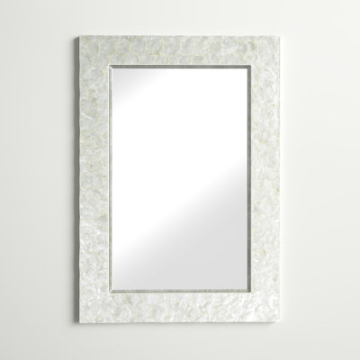 Latitude Run® Javione Traditional Beveled Wall Mirror & Reviews | Wayfair