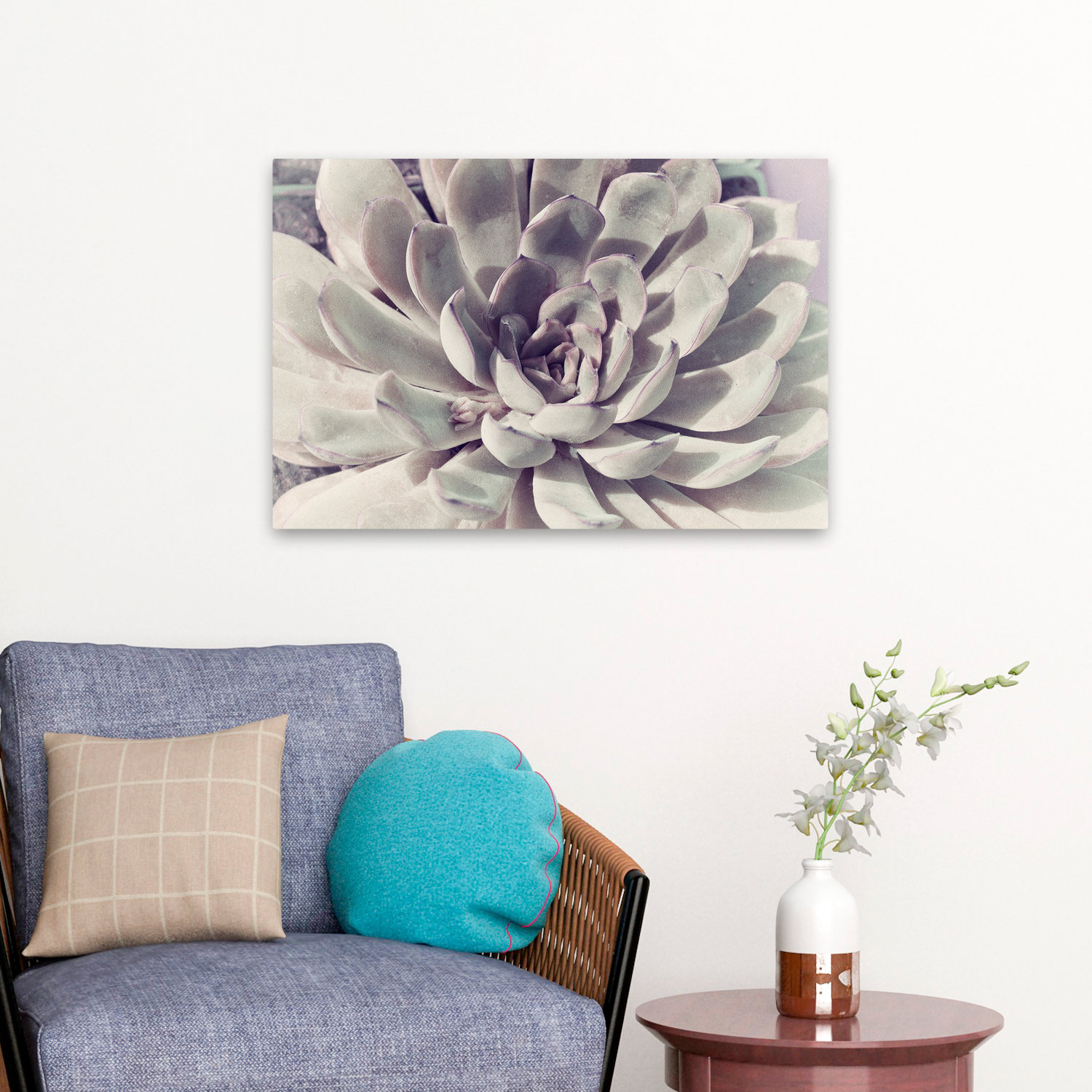 Dakota Fields Landscape, Nature, Plants, Flowers, Pale Succulent Wall ...