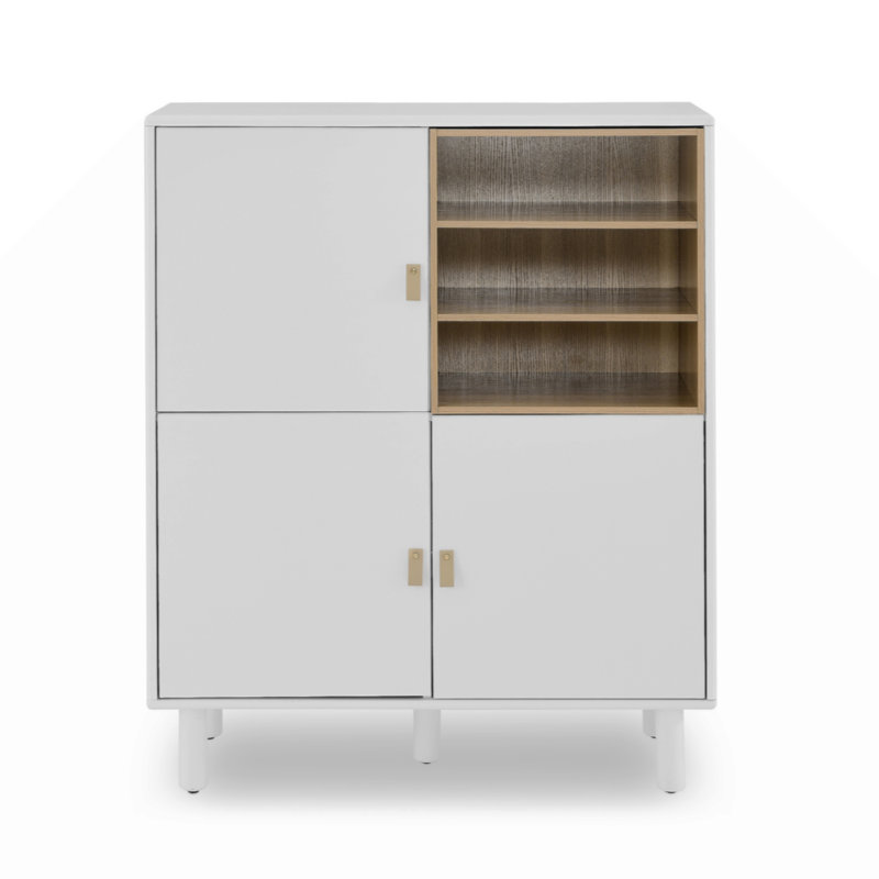 Hokku Designs Storage Cabinet With Door, Multifunctional Storage ...