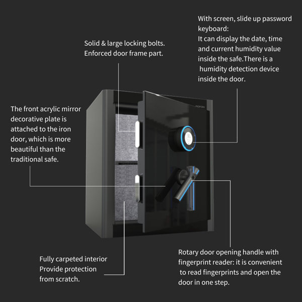BOFON Security Box, Fingerprint Password Safe Box with Key,Built-in ...
