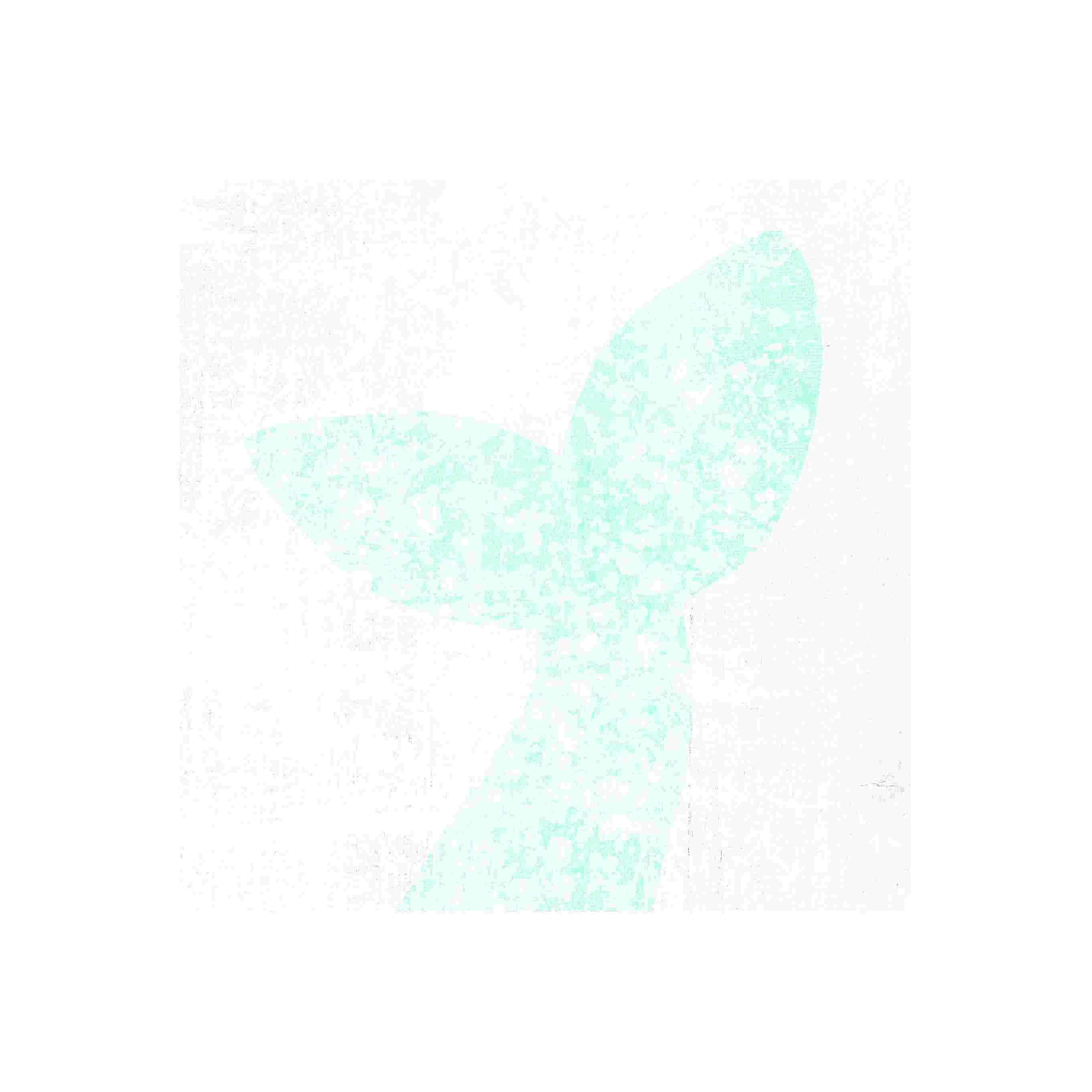 Breakwater Bay Mermaid Tail With Texture | Wayfair
