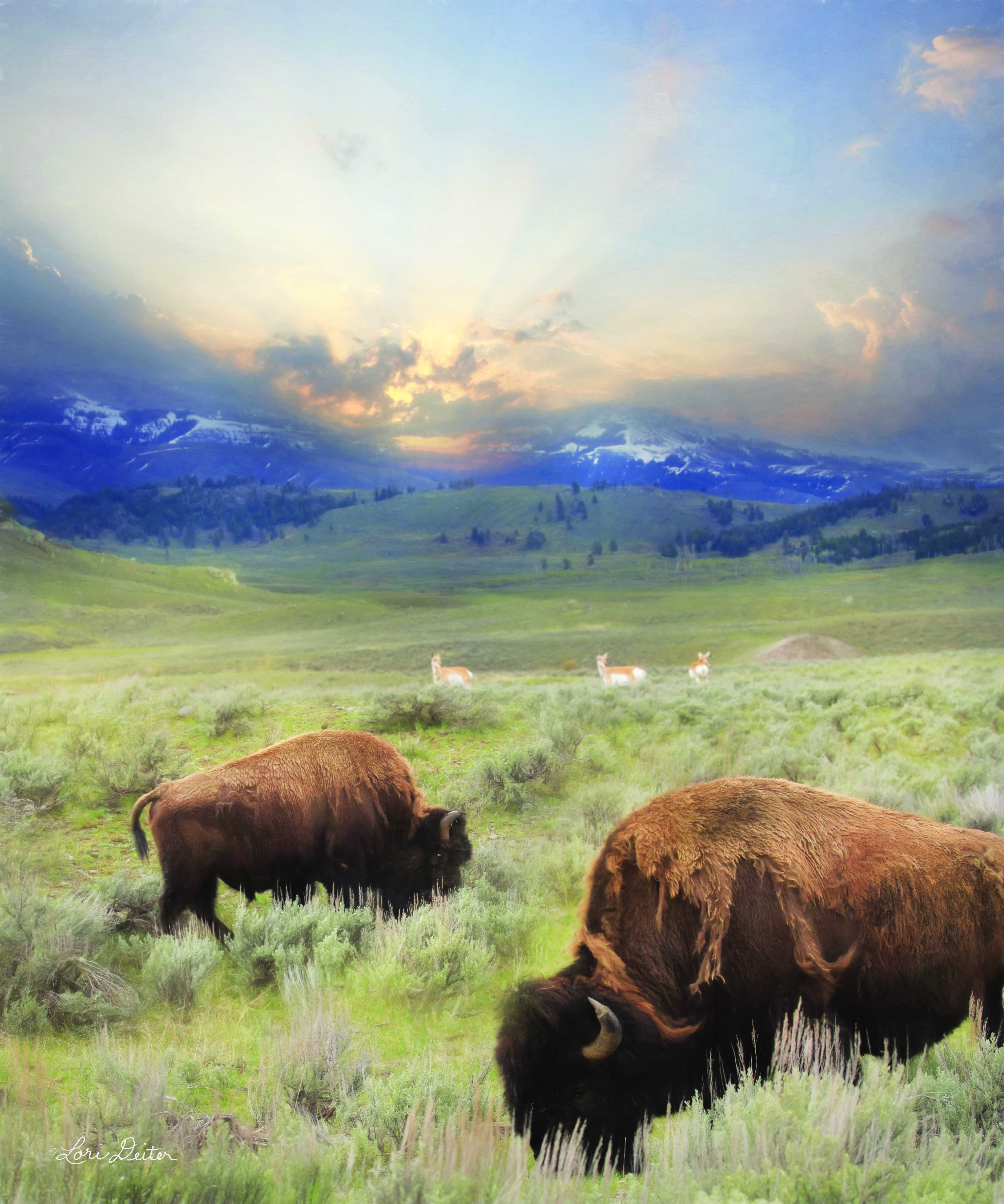 August Grove® Great American West - Wrapped Canvas Print | Wayfair