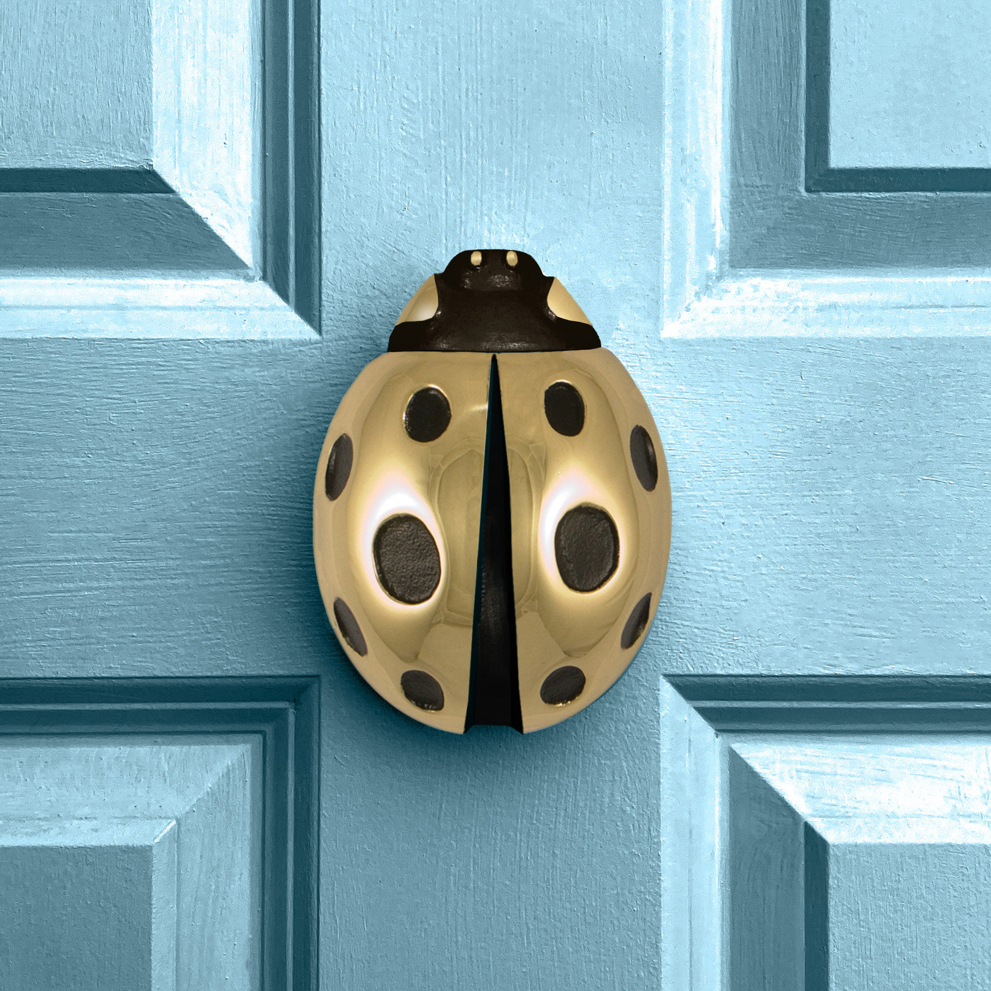 Michael Healy Ladybug Door Knocker | Wayfair
