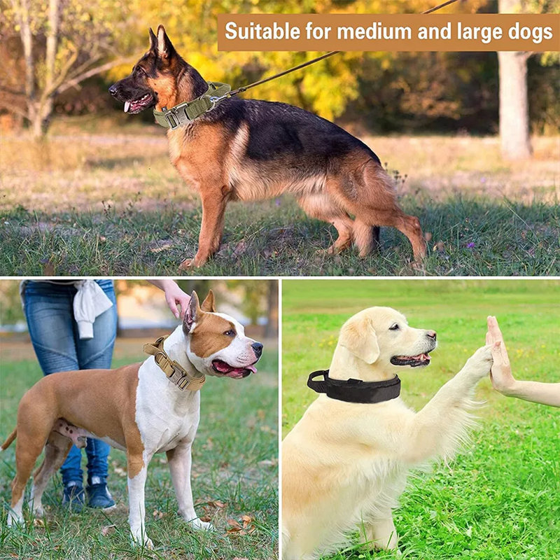 Boshen Static Electric Fence Collar | Wayfair