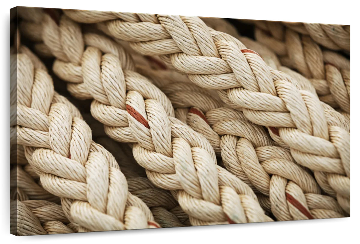 Elephant Stock Nautical Ropes | Wayfair