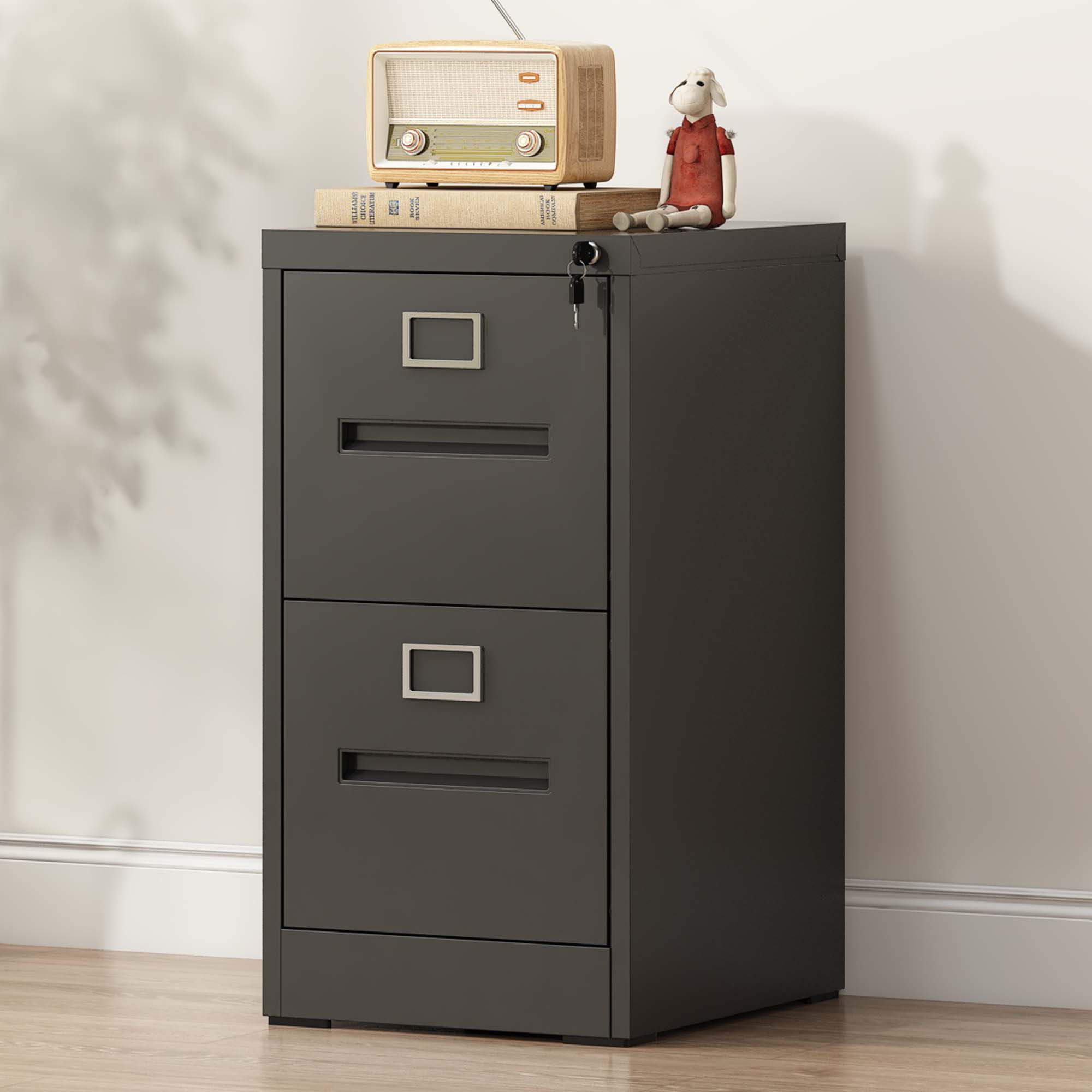 Ebern Designs 2-Drawer Metal Filing Cabinet with Label Frames & Lock ...