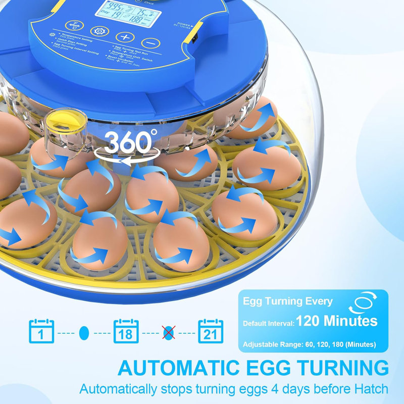 what is egg hatching temperature