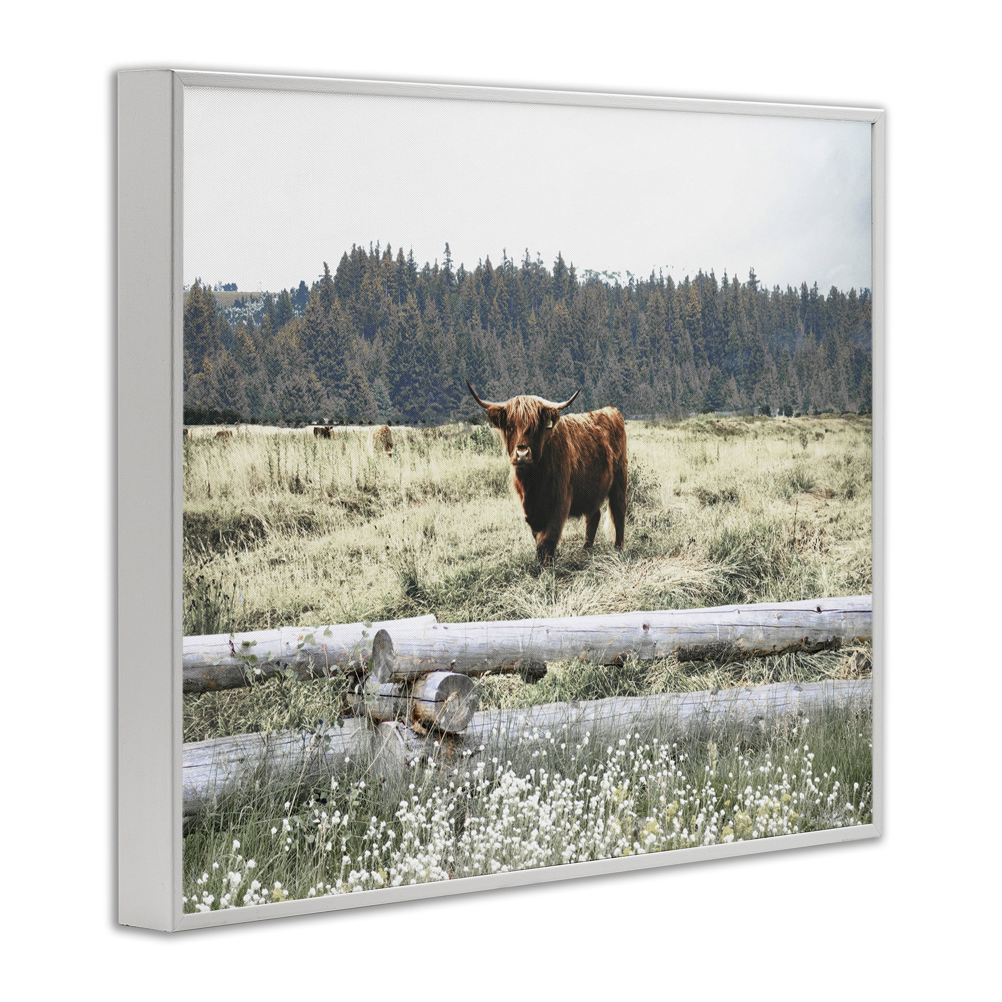 Stupell Industries Cattle Overlooking Fence Black Framed Giclee Art by ...
