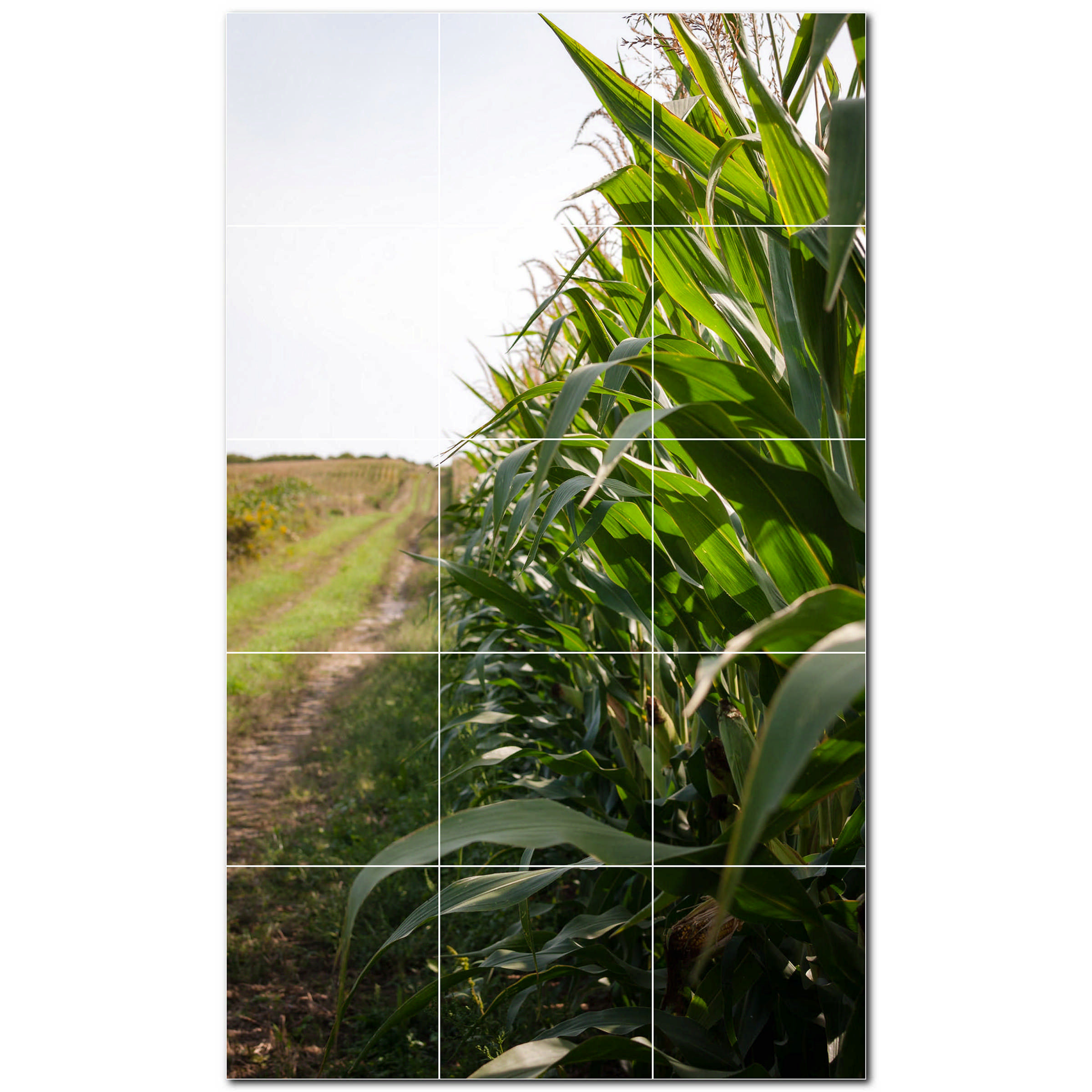 Picture-Tiles.com 18" x 30" Ceramic Farm Photo Decorative Mural Tile ...
