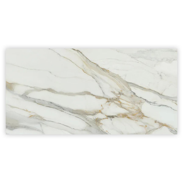 Apollo Tile Splendor 24 X 48 In. Polished White With Gray Vein ...