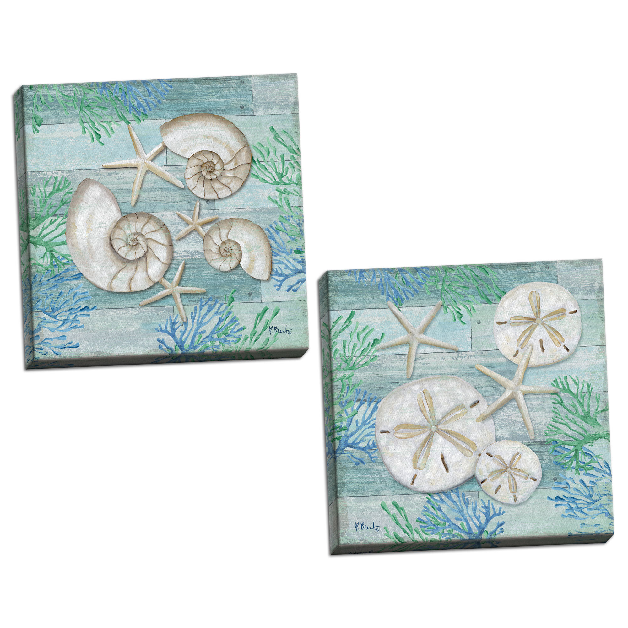 Highland Dunes Watercolor Beach Décor Shell, Sand Dollar & Starfish ...