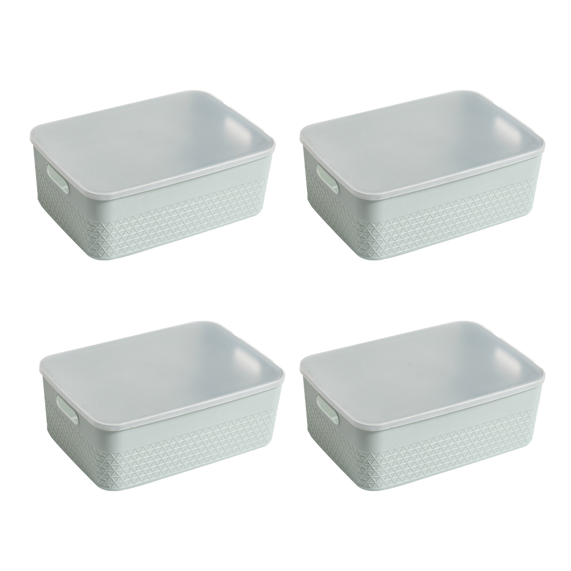 Rebrilliant Lidded Storage Bin Organizer | Storage Organizing Container ...