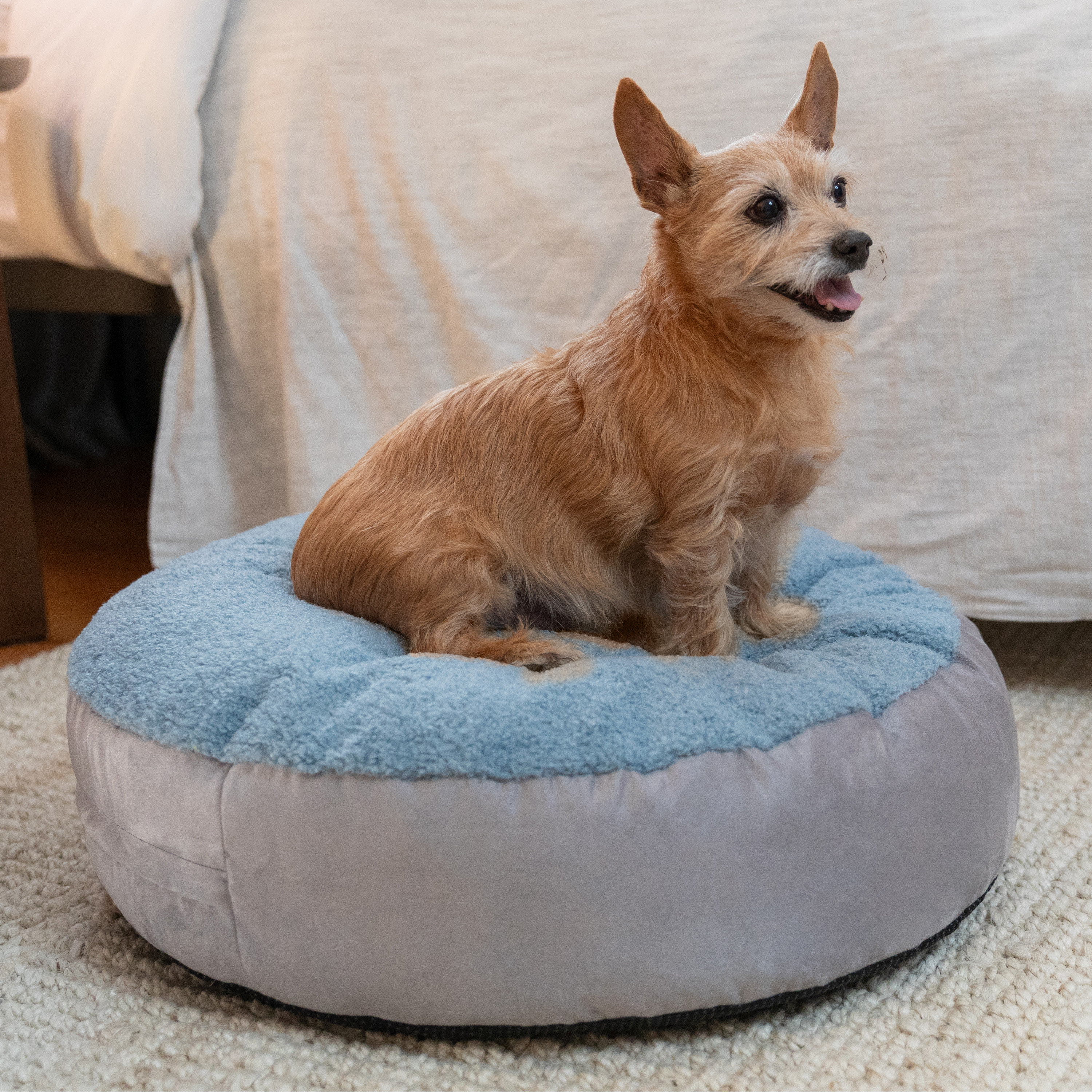 Tucker Murphy Pet™ Tucker Murphy Pet Robbi Round Pet Bed | Wayfair Tucker Murphy Pet™ Tucker Murphy Pet Robbi Round Pet Bed | Wayfair
