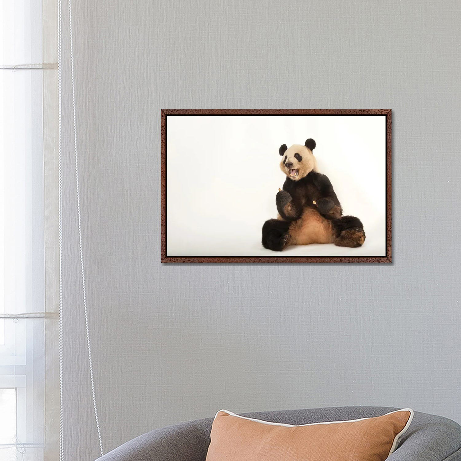 Ebern Designs A Giant Panda At Zoo Atlanta VII | Wayfair.co.uk