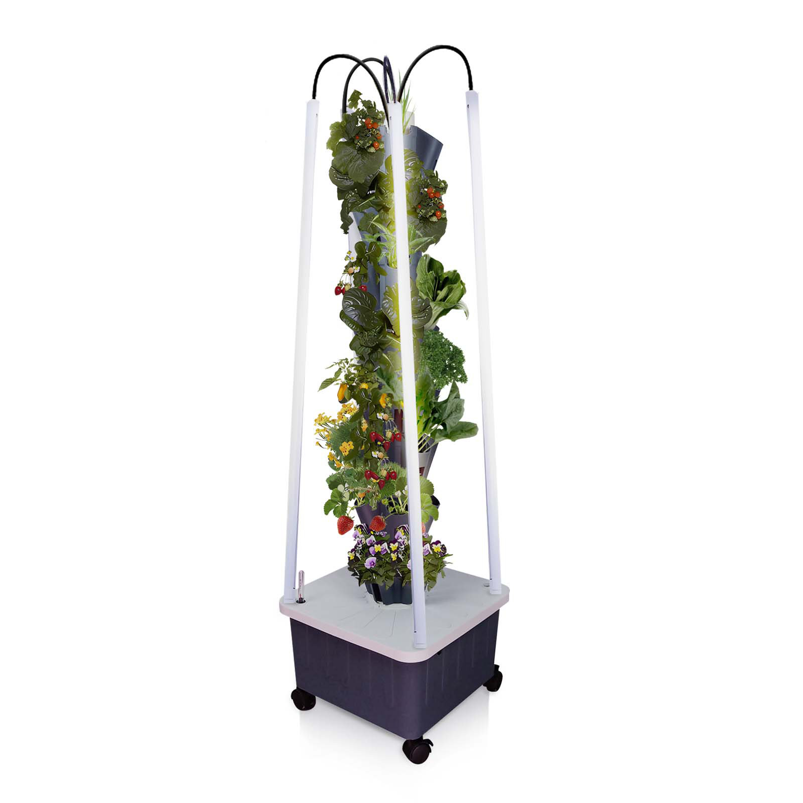 POPRHINO PORRHINO Hydroponic Unit with Fruits / Vegetable | Wayfair