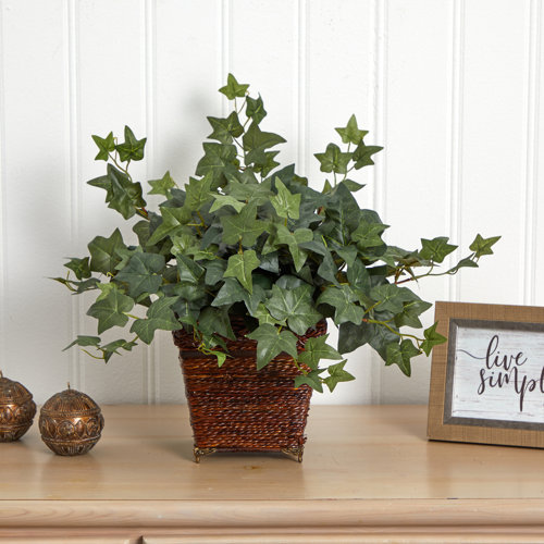 Ivy Faux Plants You'll Love in 2024 - Wayfair Canada