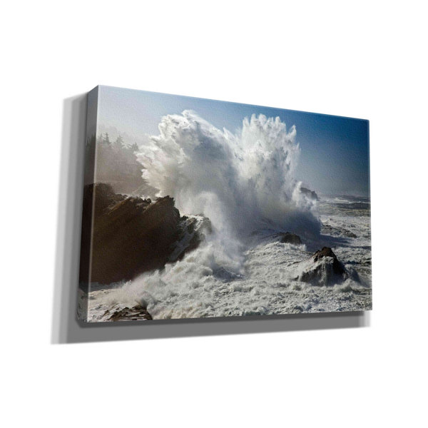 Dovecove " Oregon Shore Acres SP Wave " by Mike Jones - Wayfair Canada